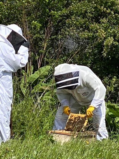 The Sci-Fi Bee Costume - part 1