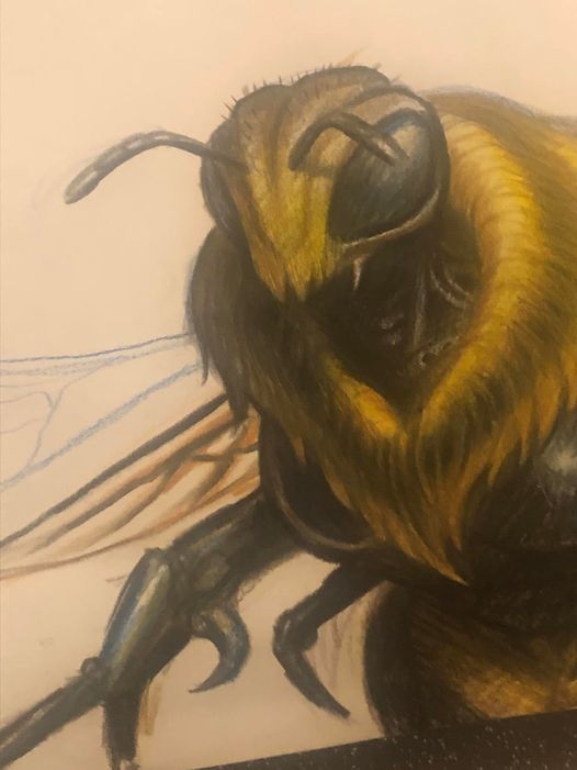 The Sci-Fi Bee Costume - part 1